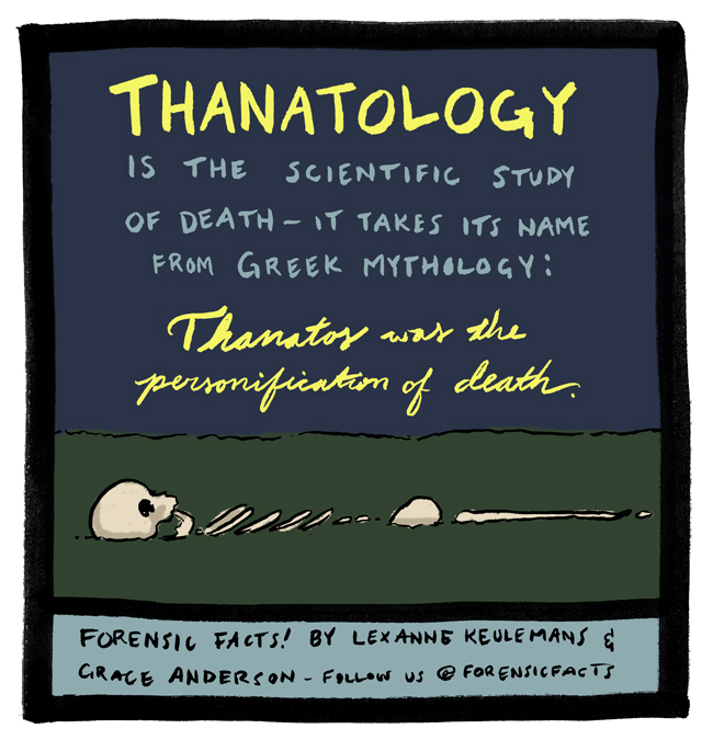 Meanwhile in Texas… – Grace V. Anderson